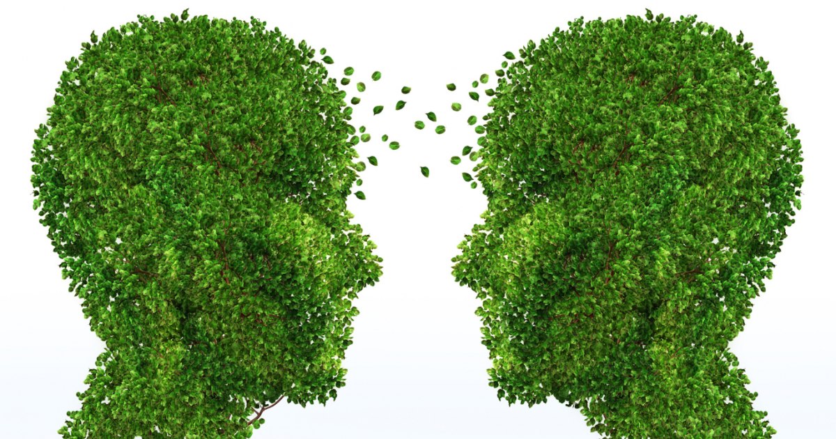 The Future of Green Communication: Trust, Transparency, and the Impact ...