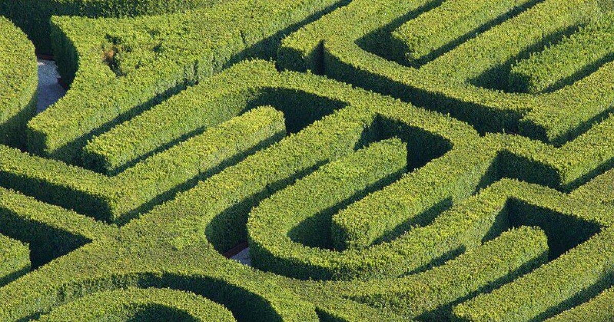 L’autenticità come motore della crescita